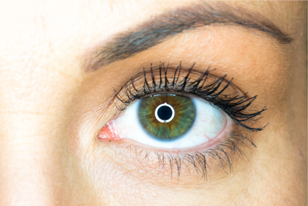 Yeux Marrons Verts : Tout Savoir Sur Les Yeux et Les Couleurs
