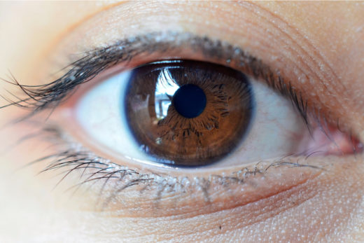 Yeux Marrons Verts : Tout Savoir Sur Les Yeux et Les Couleurs