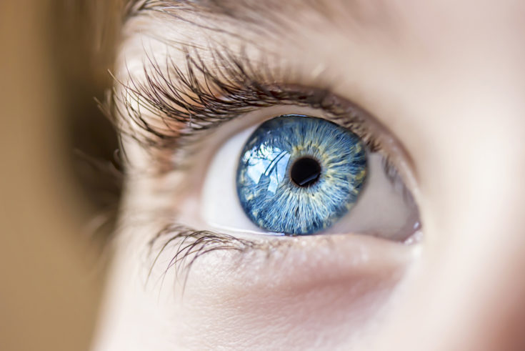 Yeux Marrons Verts : Tout Savoir Sur Les Yeux et Les Couleurs