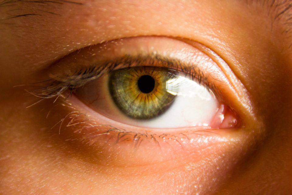 Yeux Marrons Verts : Tout Savoir Sur Les Yeux et Les Couleurs
