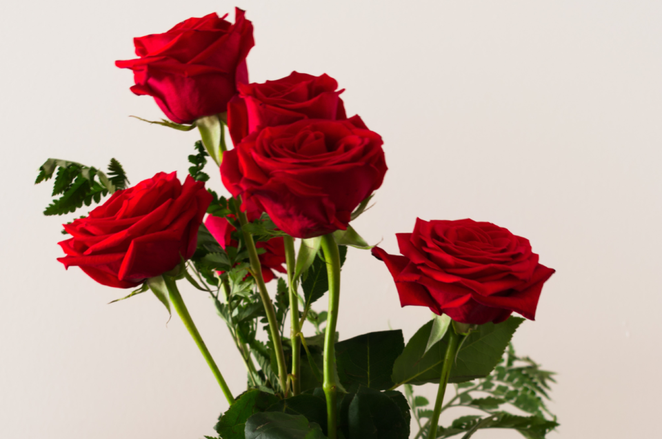 Signification De 5 Roses Rouges : Un Symbole Particulier