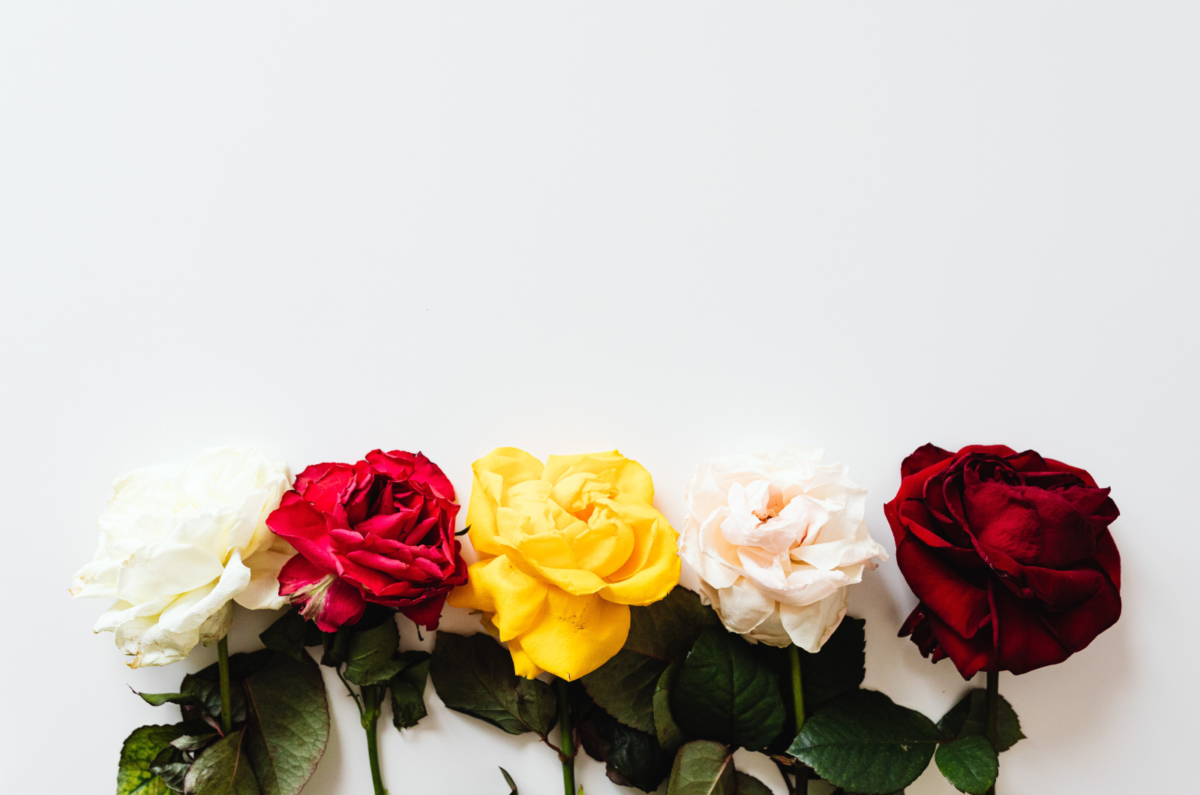 Signification De 5 Roses Rouges : Un Symbole Particulier