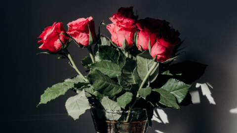 Signification De 5 Roses Rouges : Un Symbole Particulier
