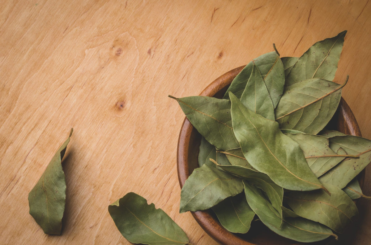 Les Feuilles De Laurier Pour L’amour : Les Rituels D’amour