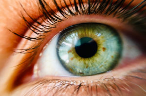 Les Yeux Verts Jaune, Que Nous Dit Cette Couleur D’yeux Rare