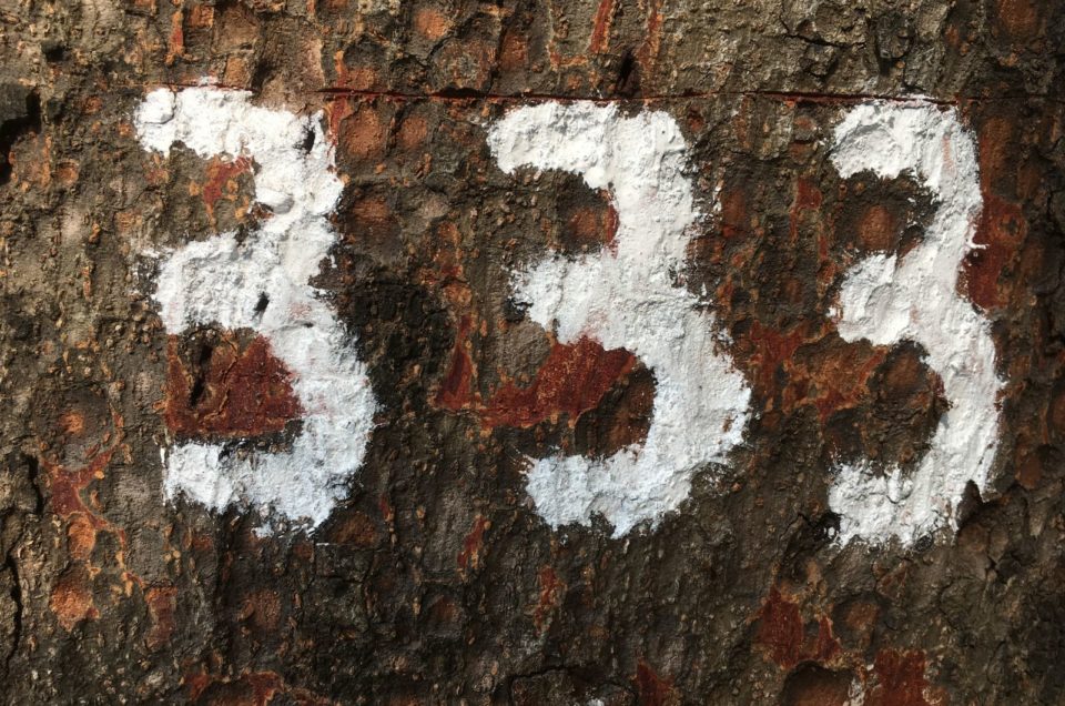 Le Numéro 333 Et Signification Pour Les Flammes Jumelles