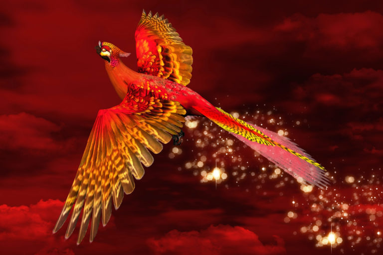 Le Symbolisme Du Phœnix Et Sa Signification Spirituelle