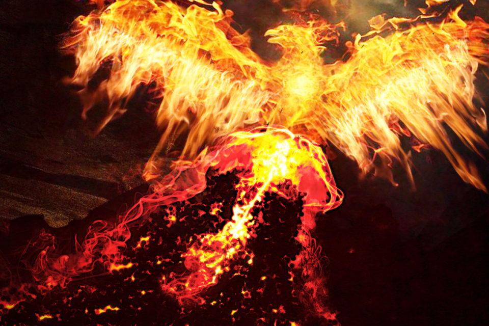 Le Symbolisme Du Phœnix Et Sa Signification Spirituelle